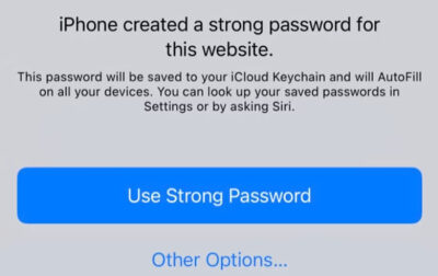 How to Use iCloud Keychain, Apple's Hidden Password Manager | TheSweetBits