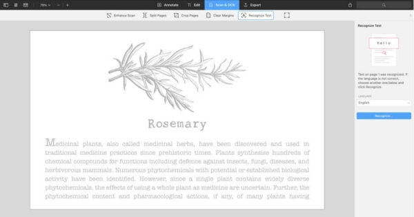 How to Edit Scanned PDFs: A Full Guide | TheSweetBits